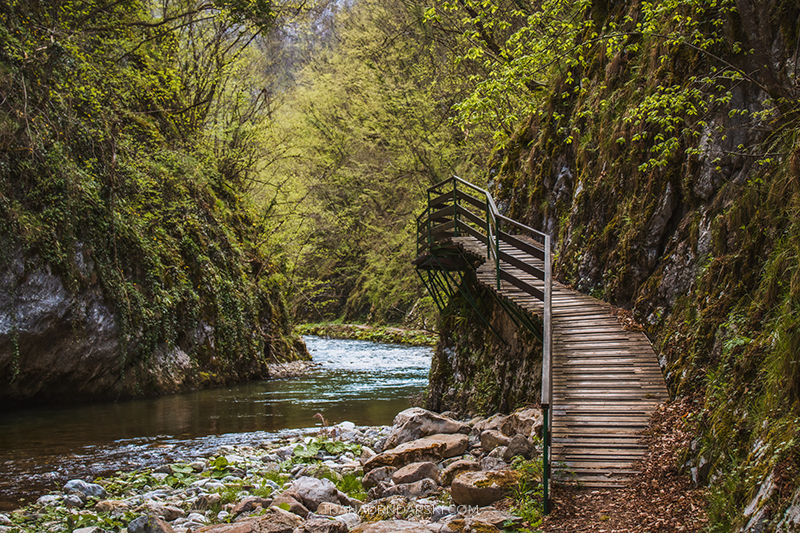Visočka Banja: A Natural Wonder in the Canyon of the Veliki Rzav ...
